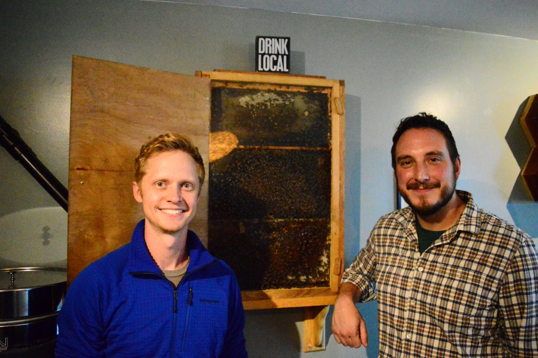 Getting buzzed: Hex and Hop combines bees and beer in B’dale | News ...
